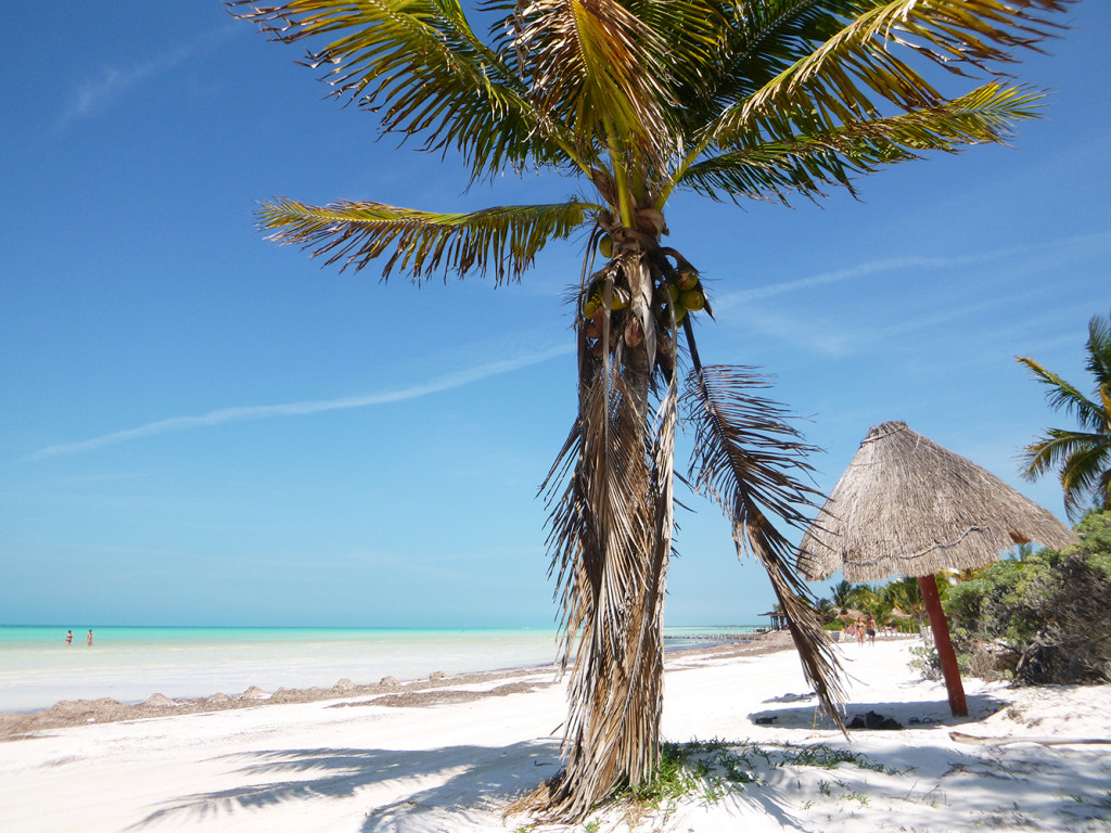 Backpacking Mexico X: Mein Geheimtipp – Die Isla Holbox
